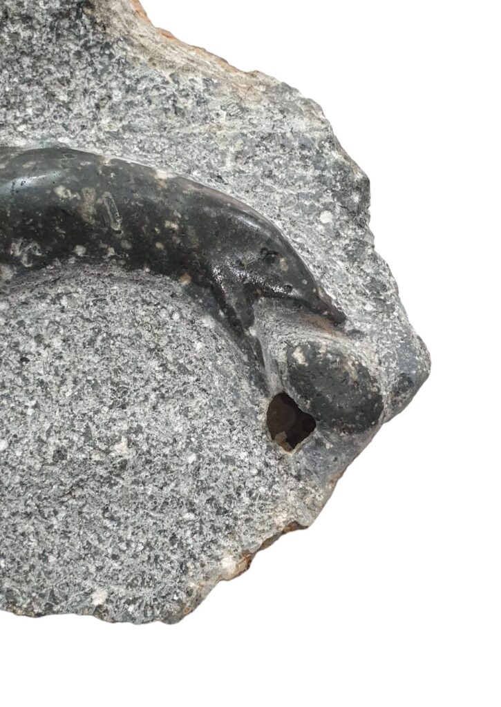 Hand Carved Basalt Sculpture NUEVOS COMIENZOS - El Emporio de Zoe