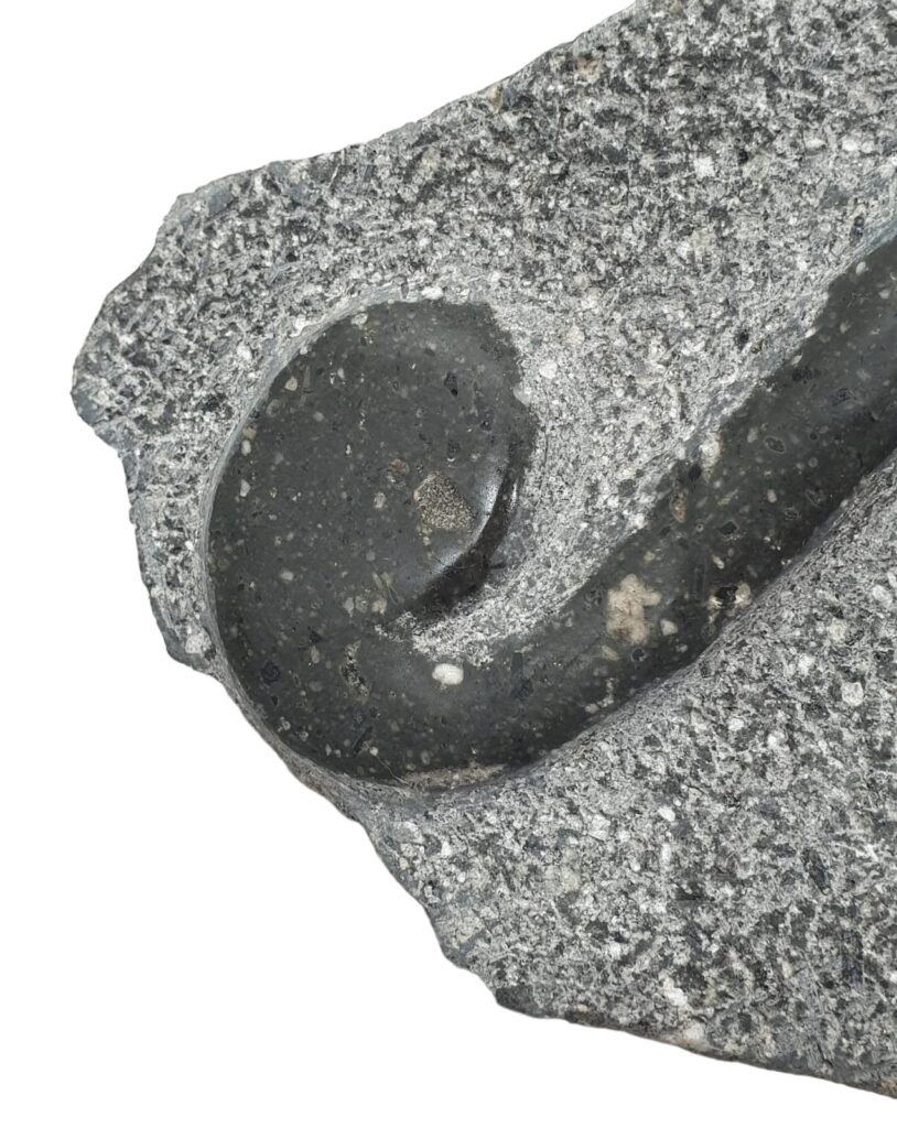 Hand Carved Basalt Sculpture NUEVOS COMIENZOS - El Emporio de Zoe